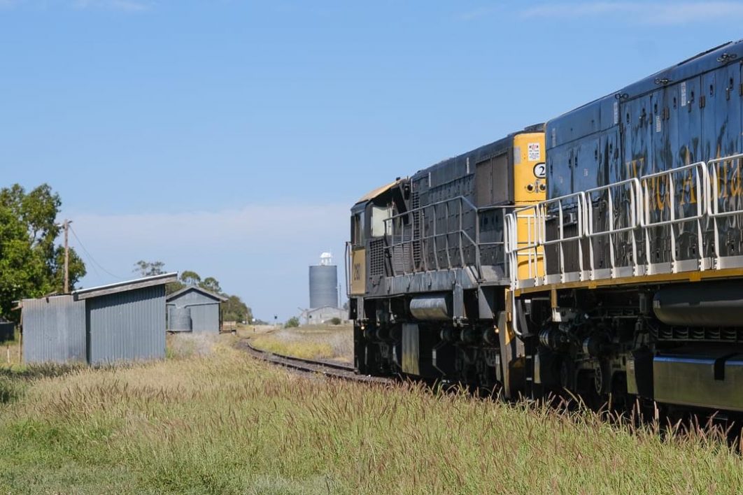 Cattle Train